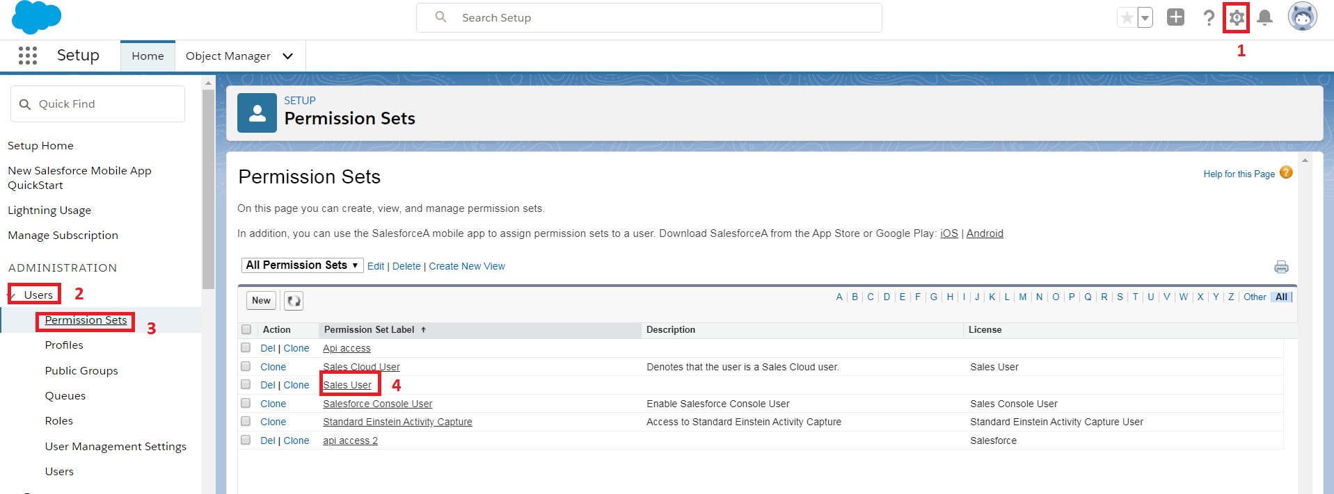 How Do I Enable API Access in Salesforce Lightning Experience by the Permission Set?